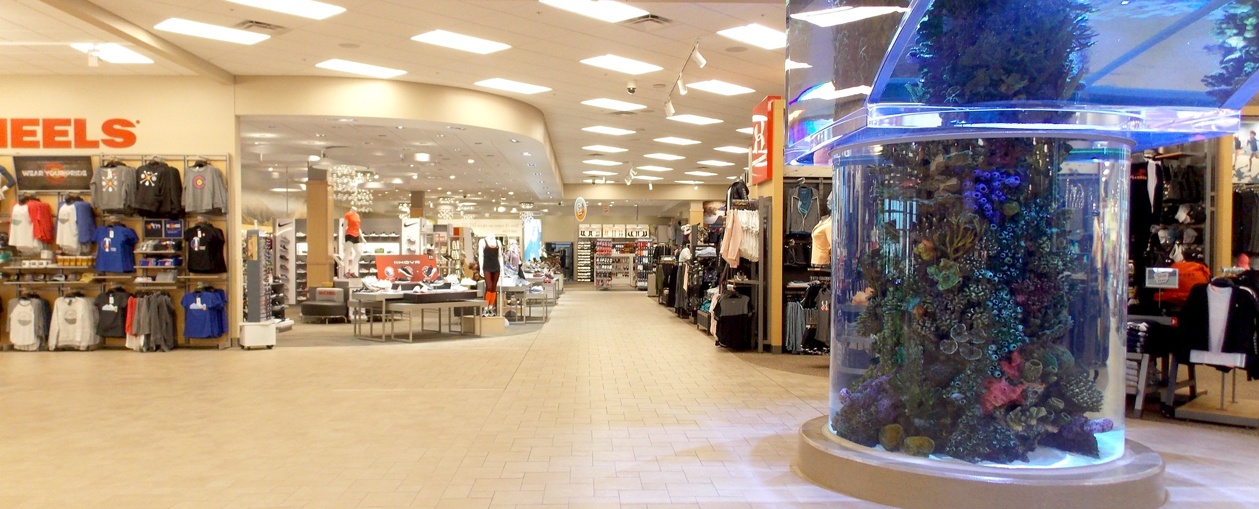 Scheels, Johnstown, CO - RLE