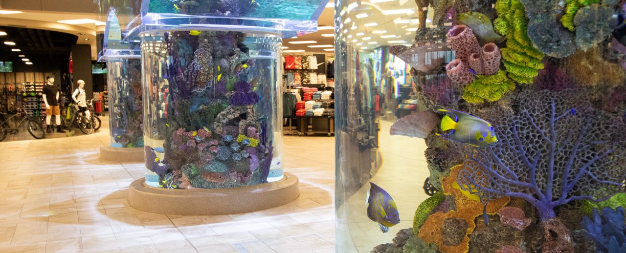 Scheels, Eden Prairie, MN - RLE